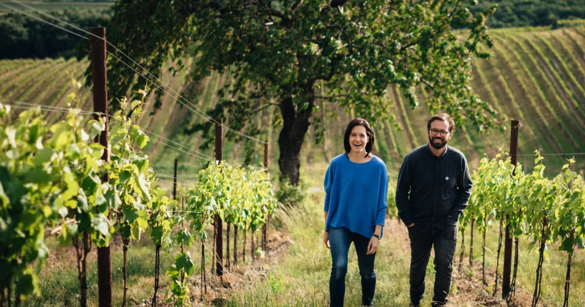 Poznáte stred vinárskej Európy? Skrýva sa na kopčekoch medzi Maďarskom ...